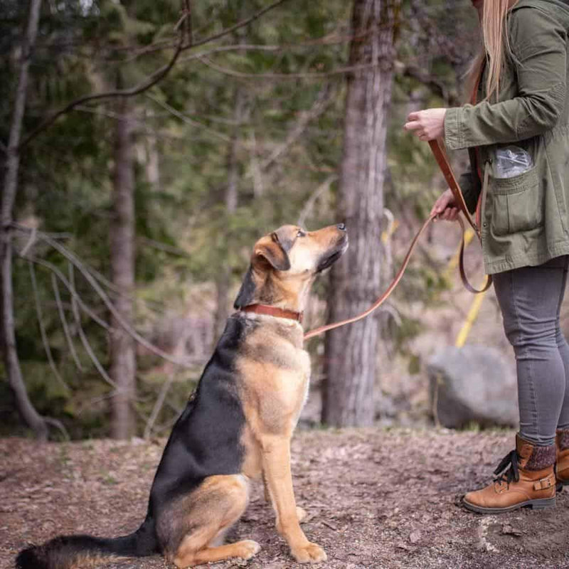 Leather Notebook Covers - Handcrafted in Nelson BC, Canada